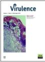 VIRULENCE《毒力》_论文投稿-期刊选题-投稿选刊-万维学术！