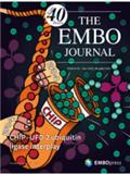 The EMBO Journal《欧洲分子生物学学会杂志》_论文投稿-期刊选题-投稿选刊-万维学术！