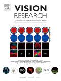 VISION RESEARCH《视觉研究》_论文投稿-期刊选题-投稿选刊-万维学术！