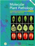 Molecular Plant Pathology《分子植物病理学》_论文投稿-期刊选题-投稿选刊-万维学术！